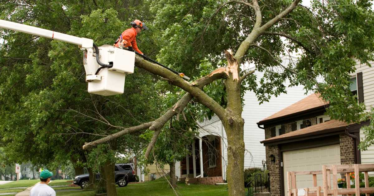 Storm Damage Insurance Claims: Essential Steps for Homeowners